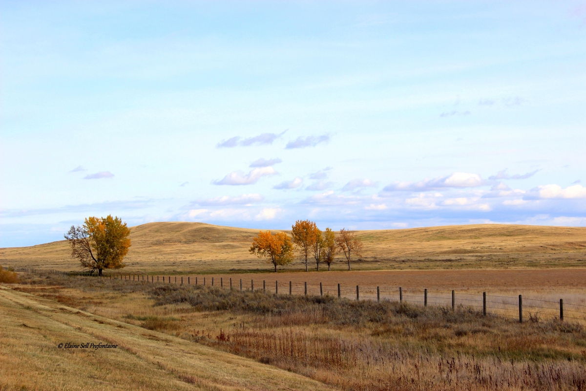 SASKATCHEWAN LANDSCAPES | SLATE STONE ART